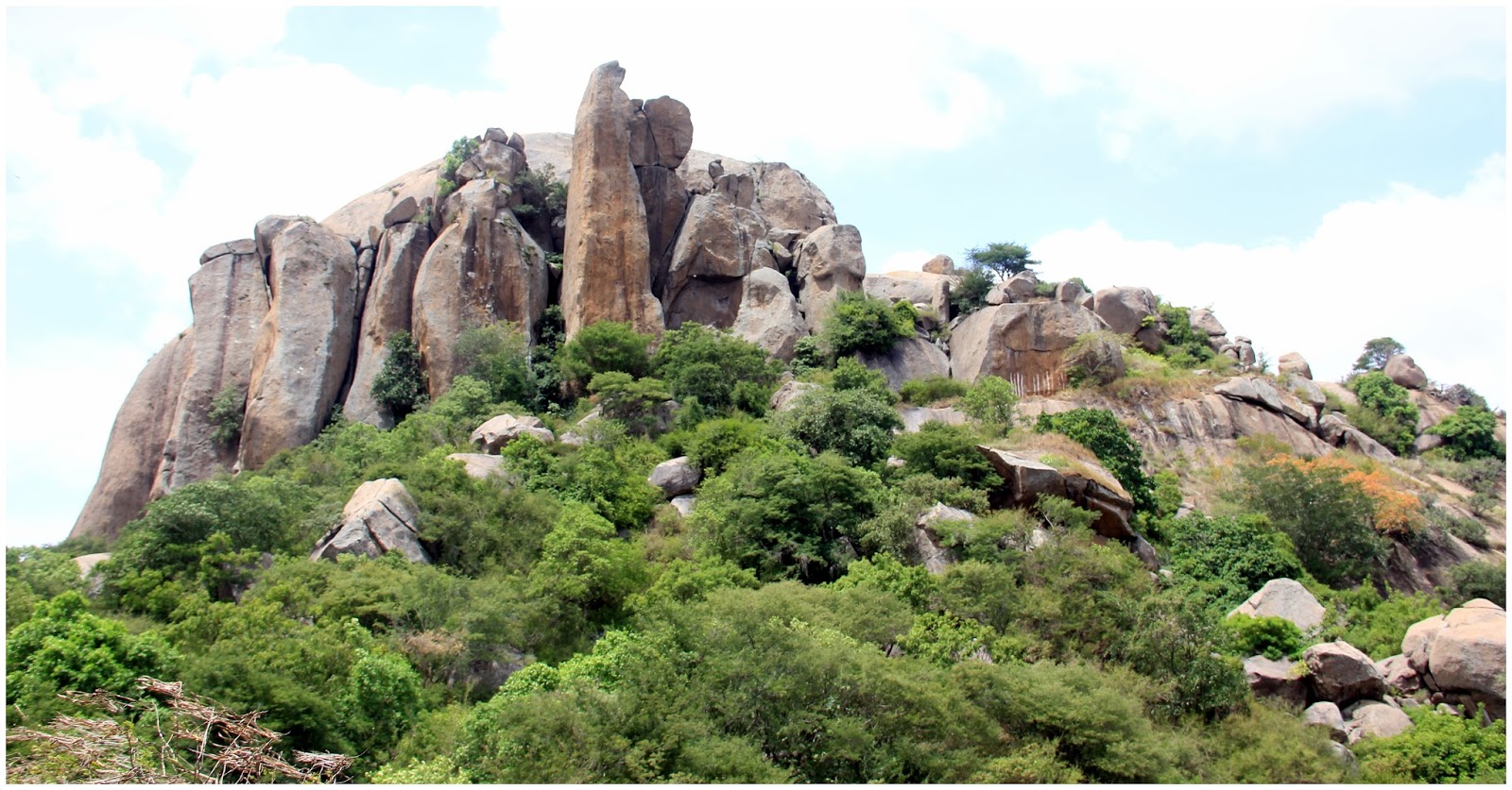 Ramadevara betta – My Camera Log