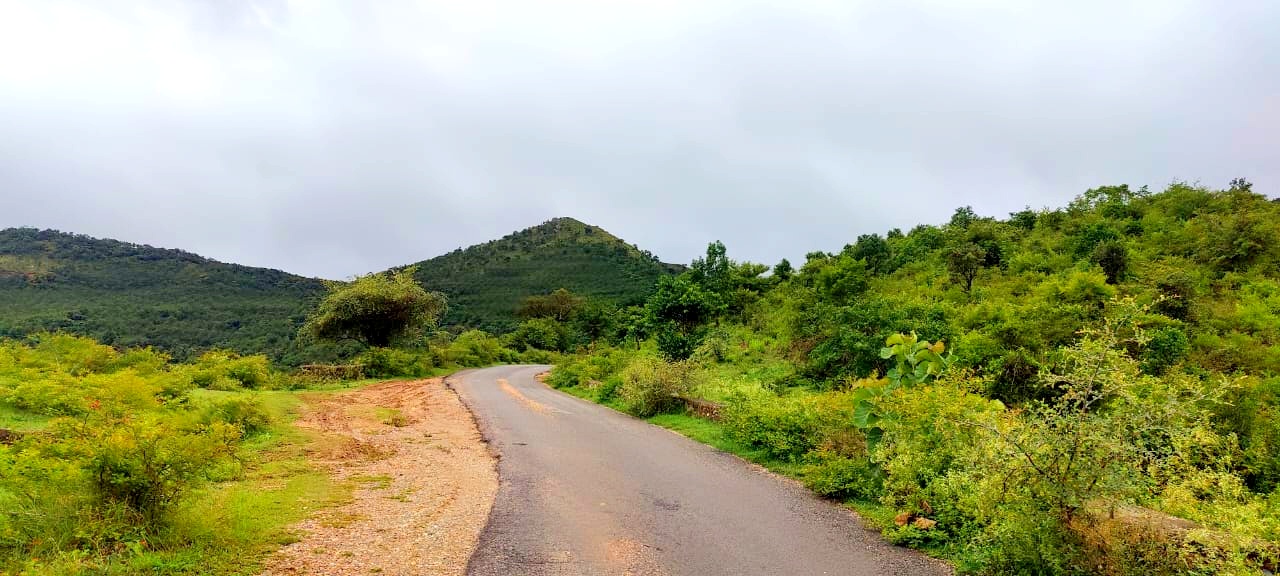 Himavad Gopalaswamy Betta – My Camera Log