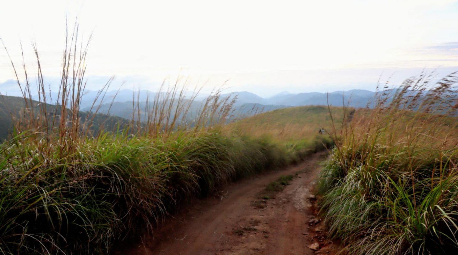 Uluppuni Wildlife Sanctuary – My Camera Log