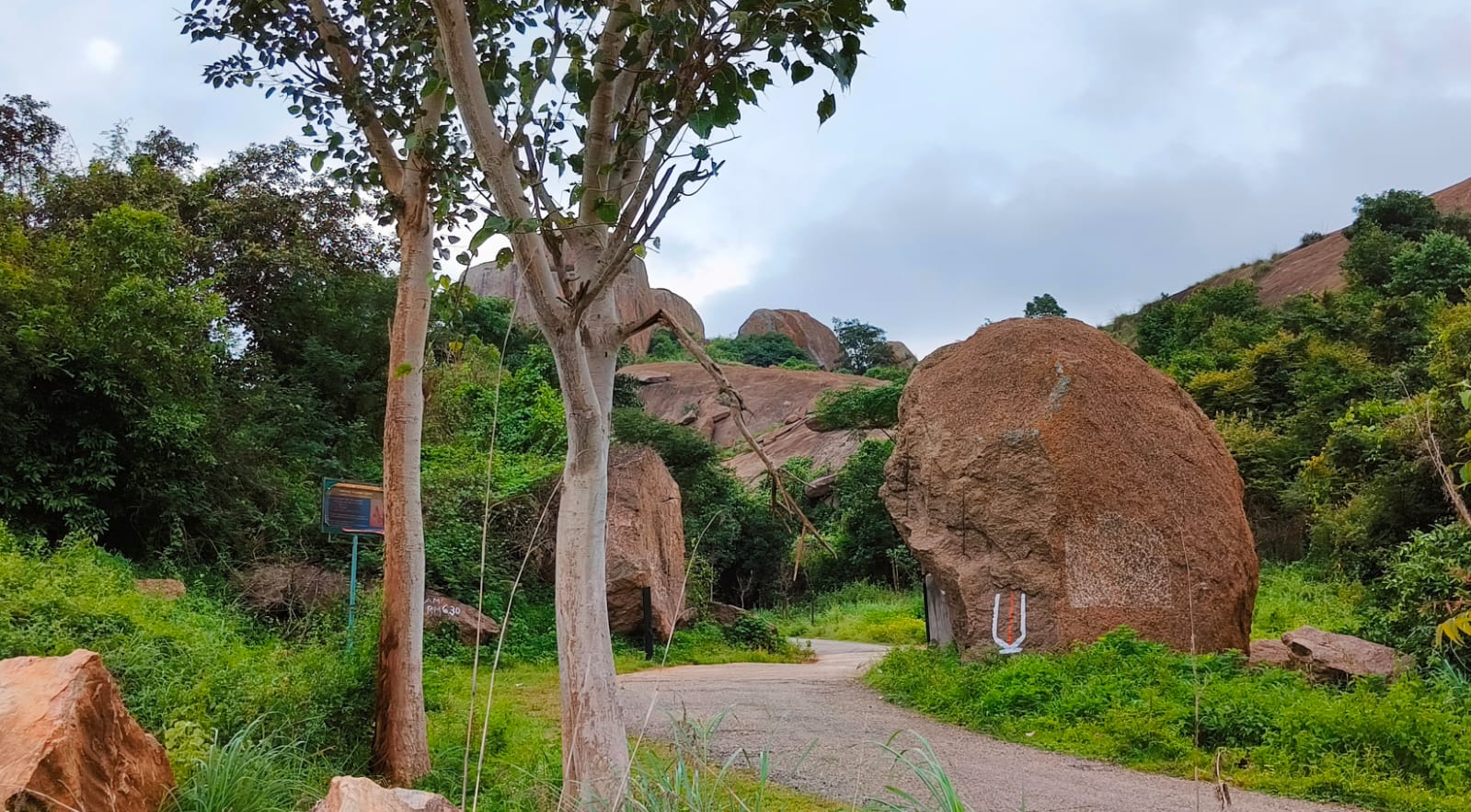 Thimmappana Betta – My Camera Log