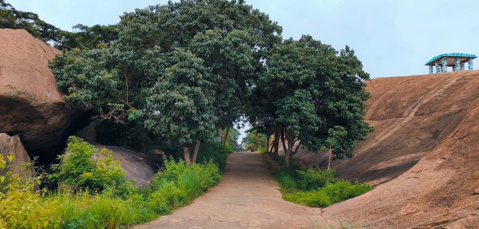 Thimmappana Betta – My Camera Log