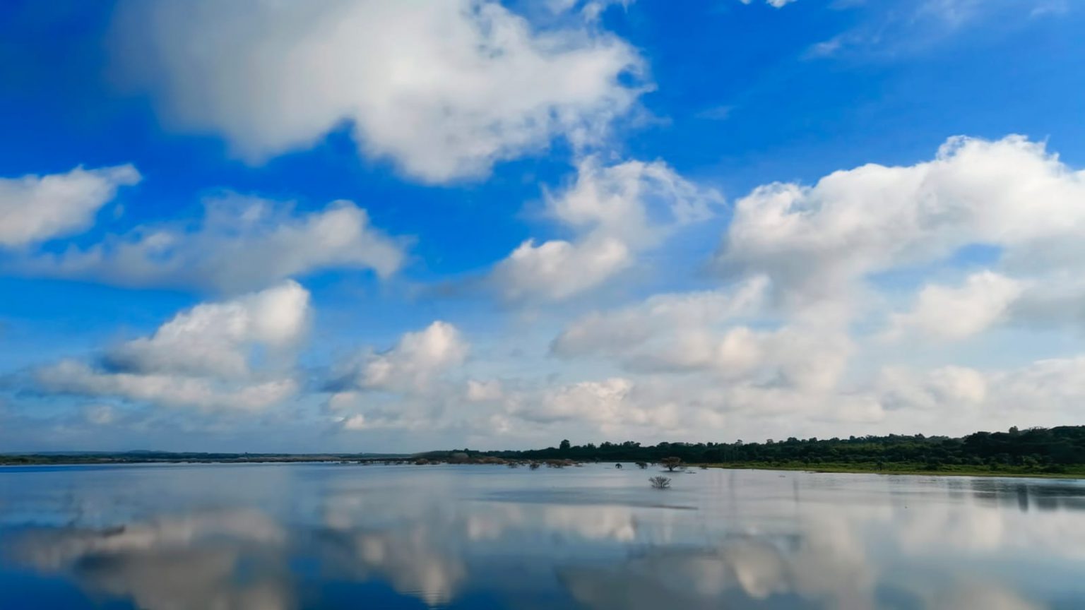 Hesaraghatta Lake