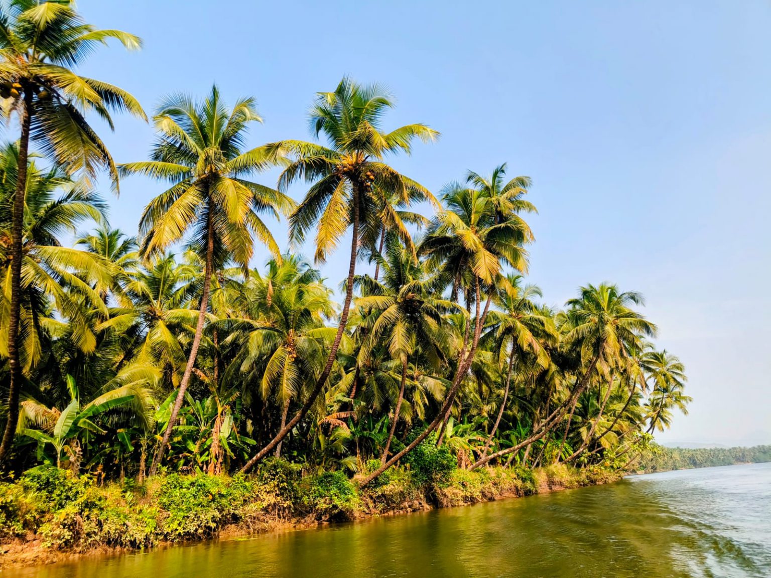 Boat Ride on Sharavati River